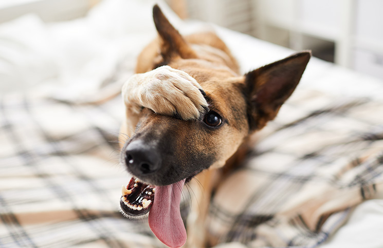 Not Drinking Anymore | Jokes Times